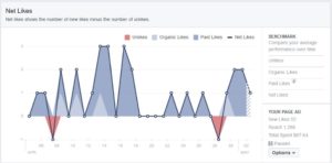 Facebook Marketing 101: How To Read Facebook Insights | Cooler Insights