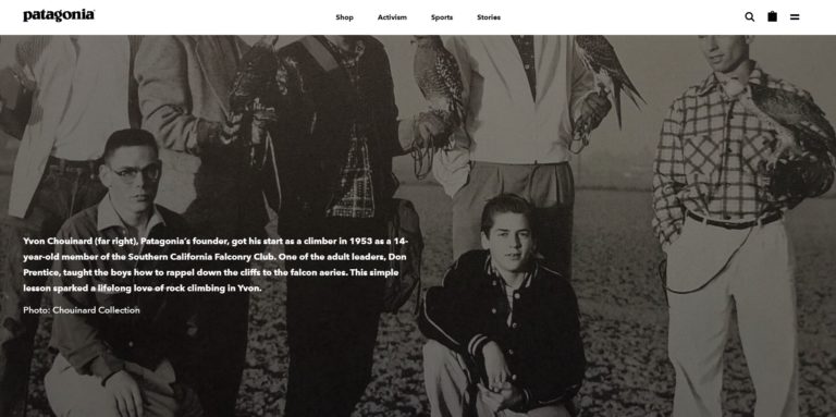 15 Top Brand and Marketing Storytelling Examples | Cooler Insights